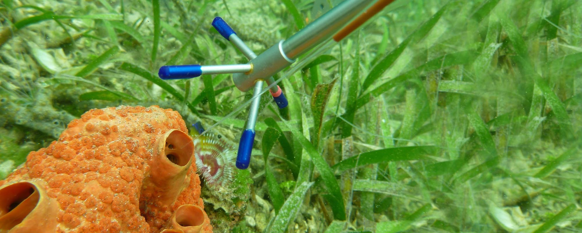 Doppler specialist Nortek's website | Nortek