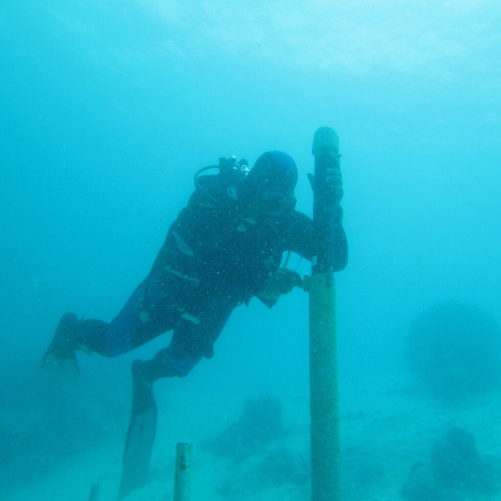 Nortek | Aquadopp Z-Cell 400 kHz | Current profiler