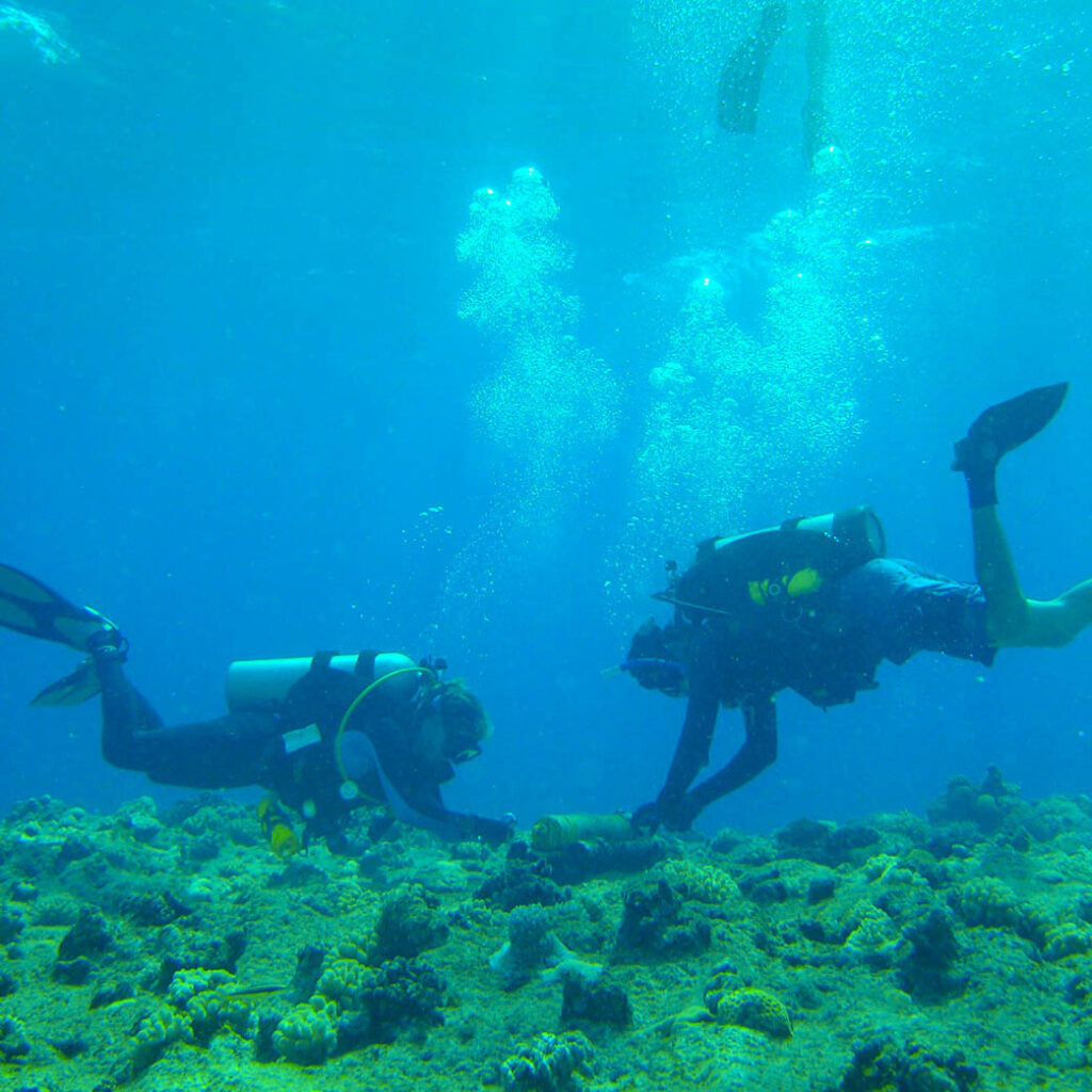 Nortek | Aquadopp Profiler 2 MHz | Current profiler