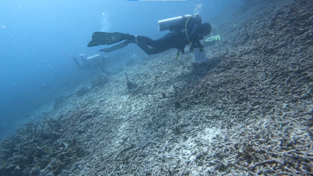 Nortek | Investigating coral recovery on the Great Barrier Reef with…