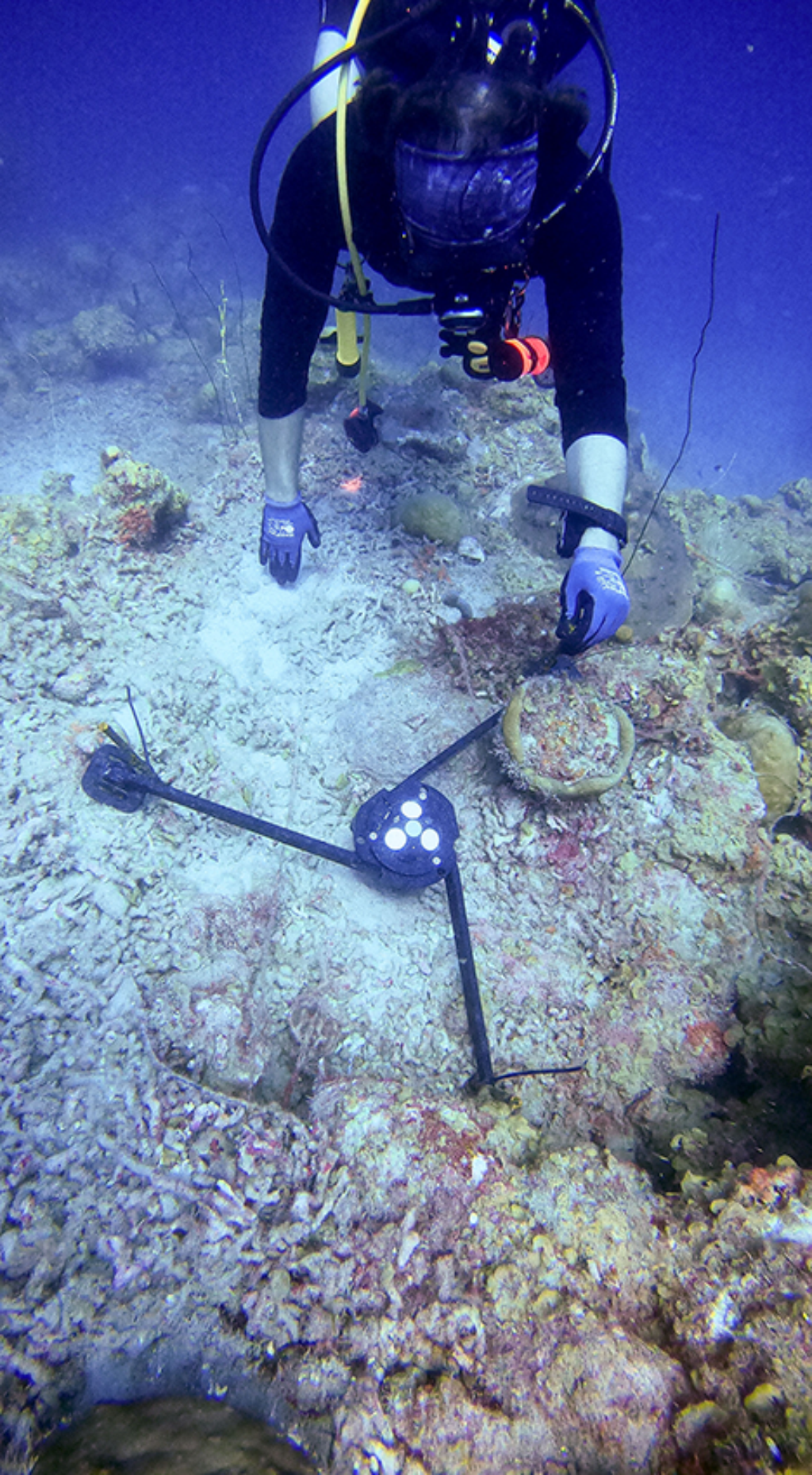 Nortek | Building floating coral reef communities to promote reef…