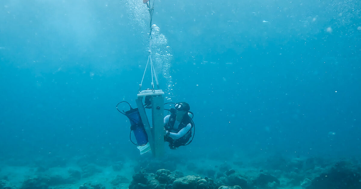 Nortek | Gathering current and wave data for coastal protection…