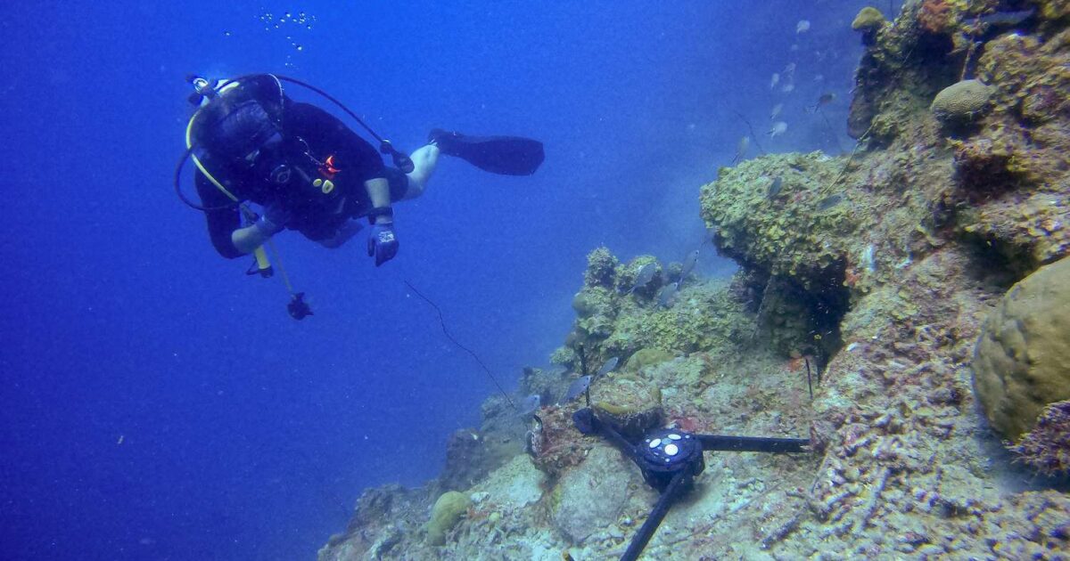 Nortek | Building floating coral reef communities to promote reef…