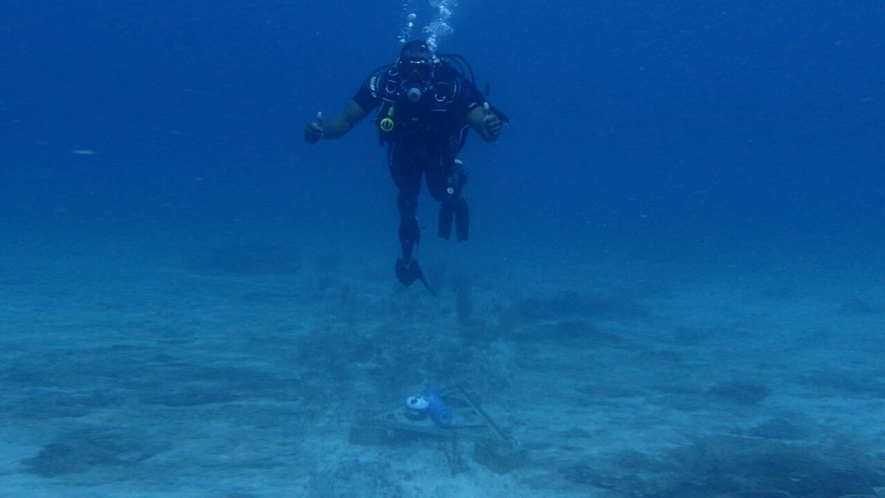 Nortek | How wave monitoring helps coastal risk management in Barbados