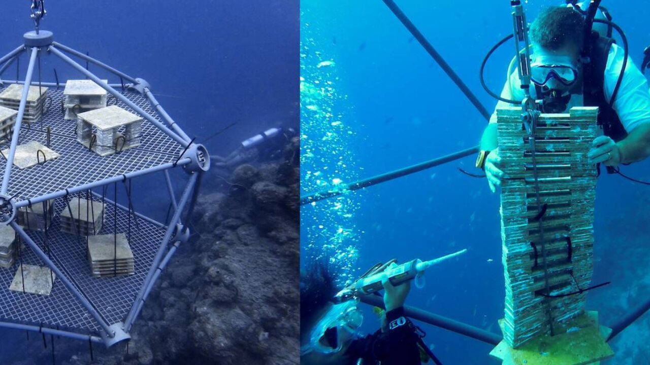Nortek | Building floating coral reef communities to promote reef…