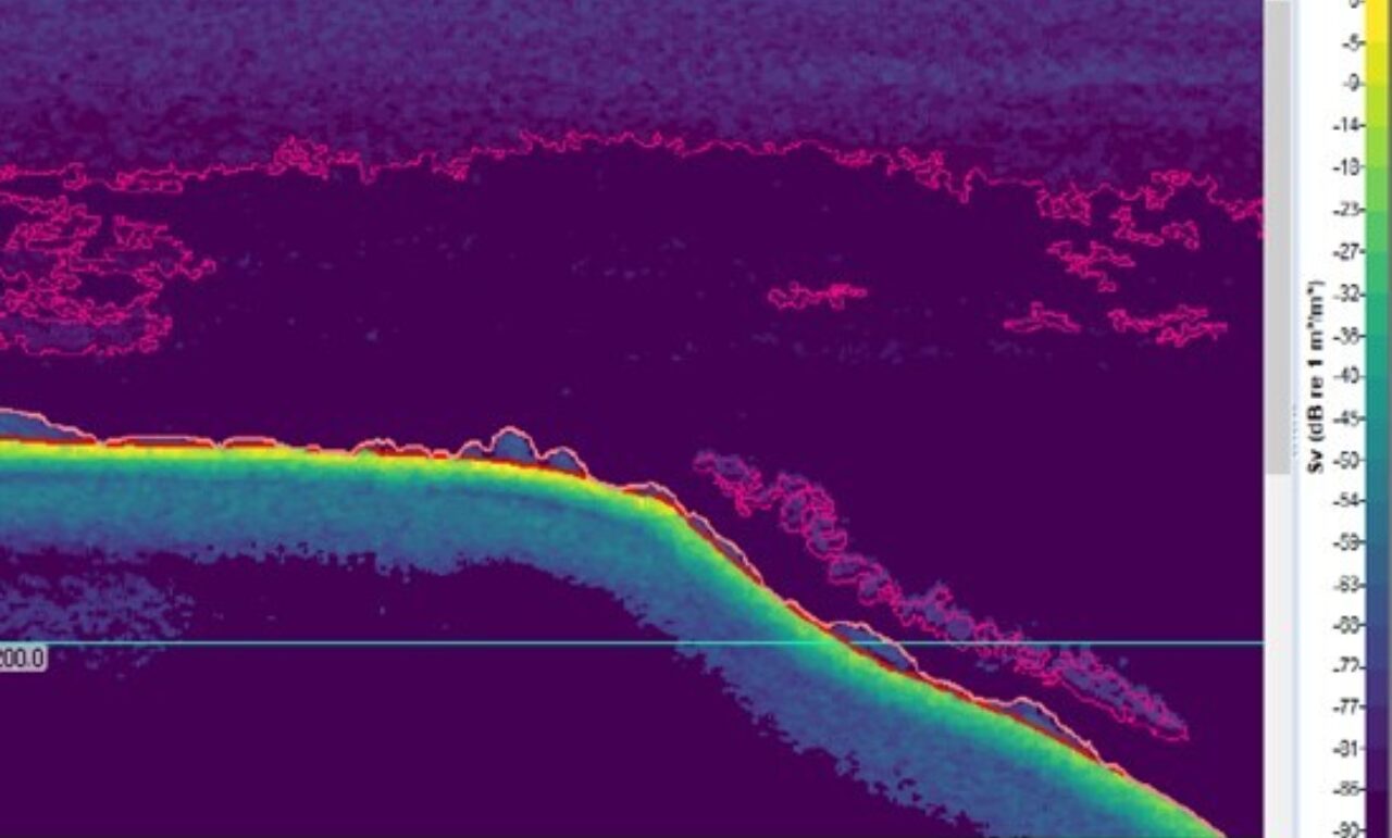 Nortek | Echoview Software used with Signature ADCPs help users to…