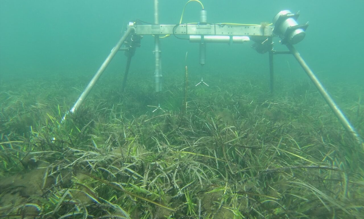 Nortek | Seagrass research using Nortek instrumentation published in…