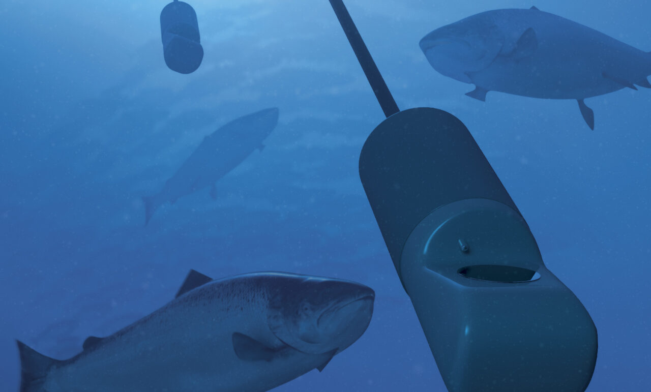 Nortek | InnovaSea Systems acquires Nortek’s aquaculture business