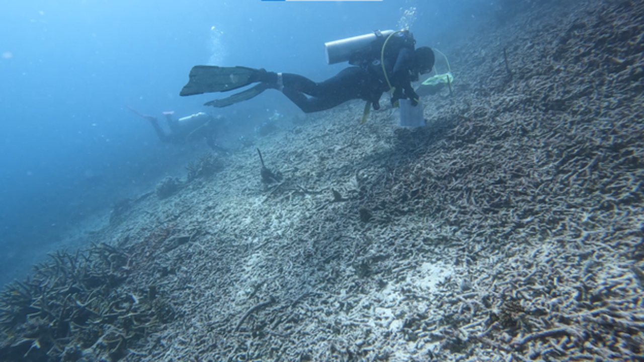 Nortek | Investigating coral recovery on the Great Barrier Reef with…