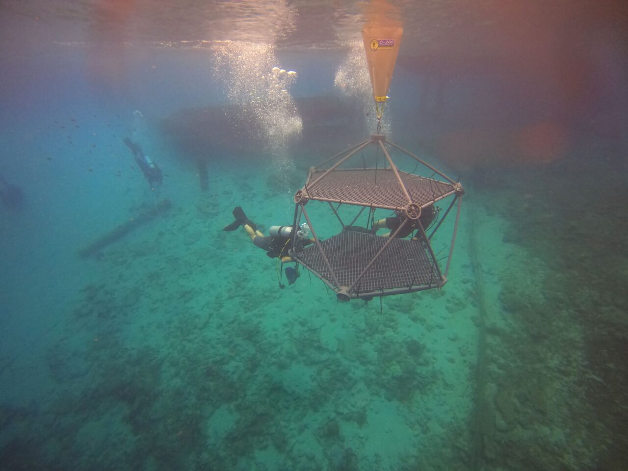 Nortek | Building floating coral reef communities to promote reef…