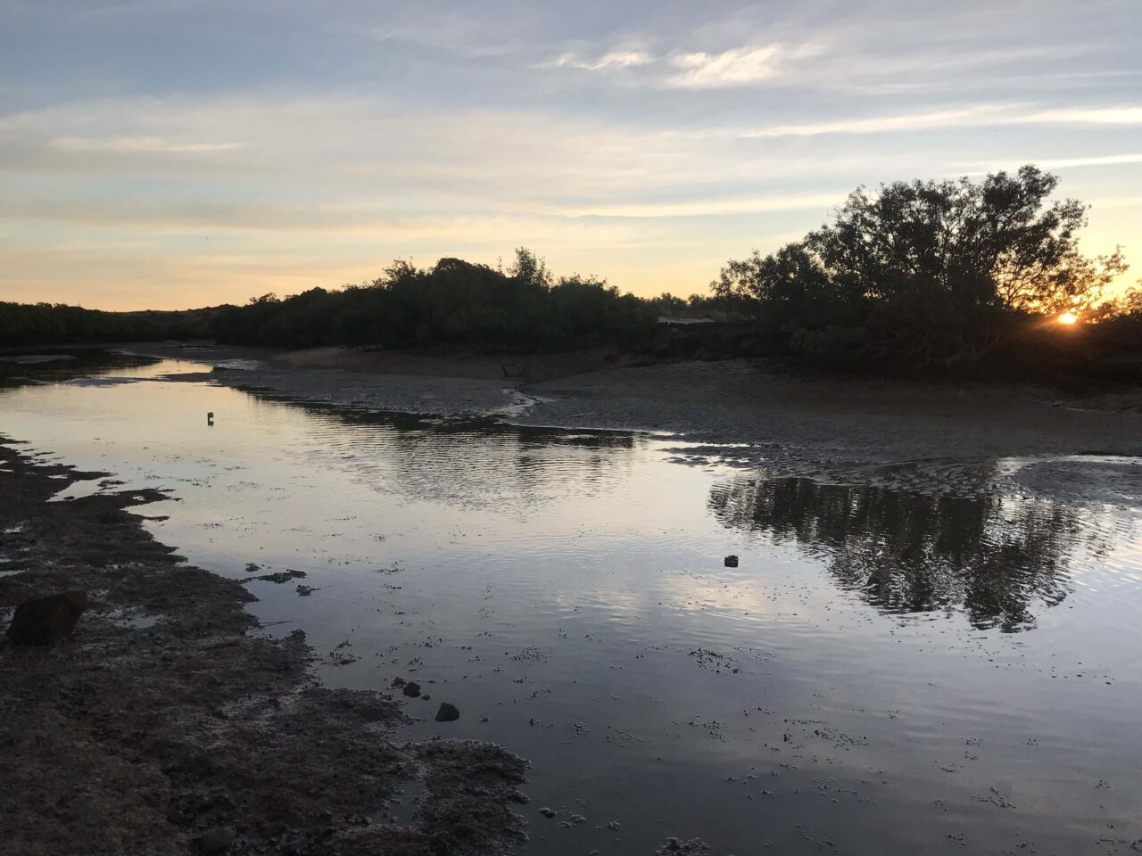 Nortek | Shallow-water current measurement in intertidal creeks made…