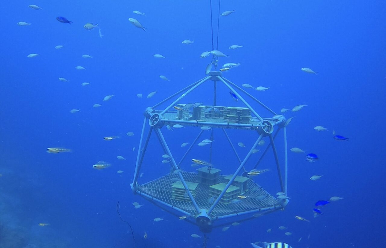 Nortek | Building floating coral reef communities to promote reef…