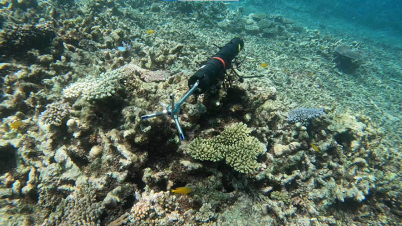 Nortek | Investigating coral recovery on the Great Barrier Reef with…