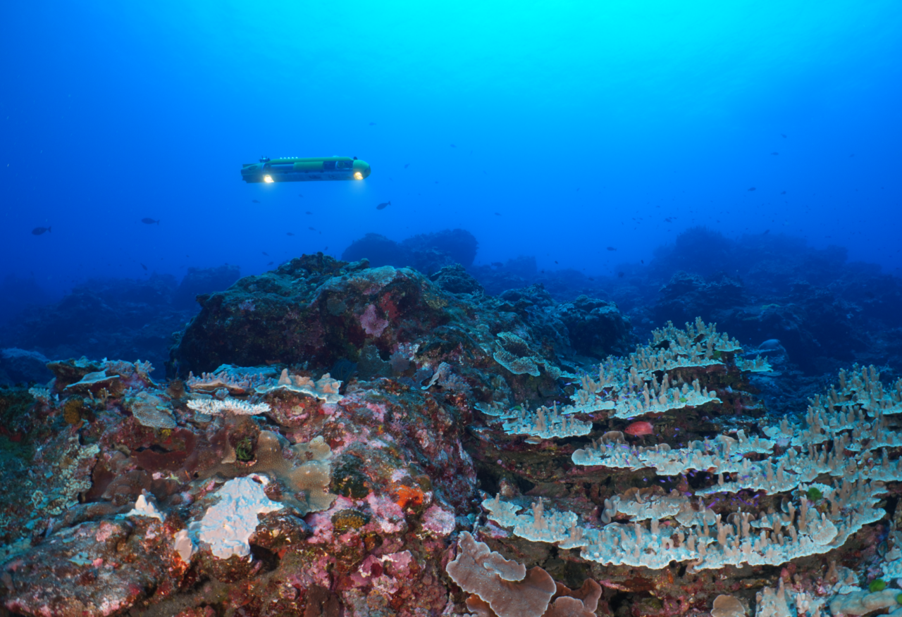 Nortek | Nortek Nucleus supports University of Sydney AUV in coral…