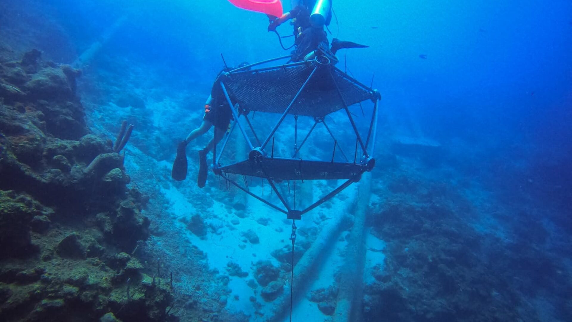 Nortek | Building floating coral reef communities to promote reef…