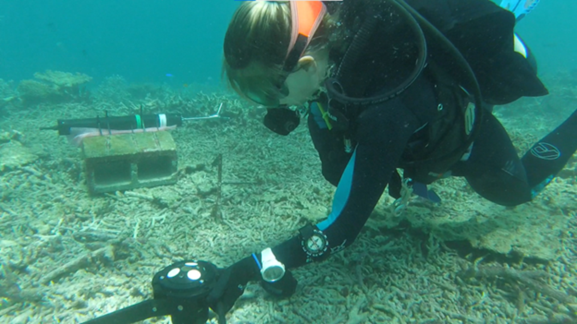 Nortek | Investigating coral recovery on the Great Barrier Reef with…