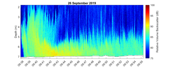 Nortek | How to get high-resolution echosounder data from water…