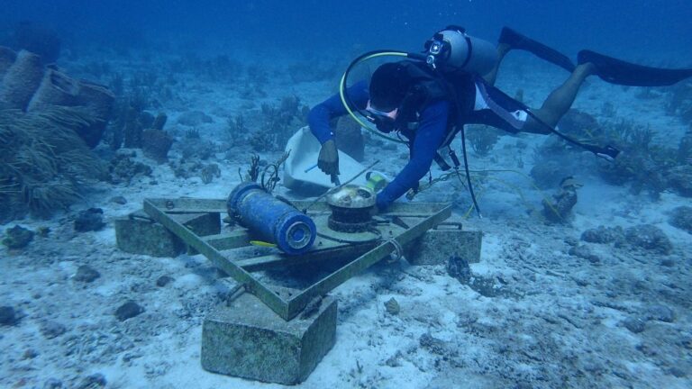 Nortek | New to waves? Here's everything you need to know