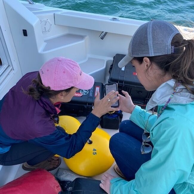 Nortek | Eco Current Profiler